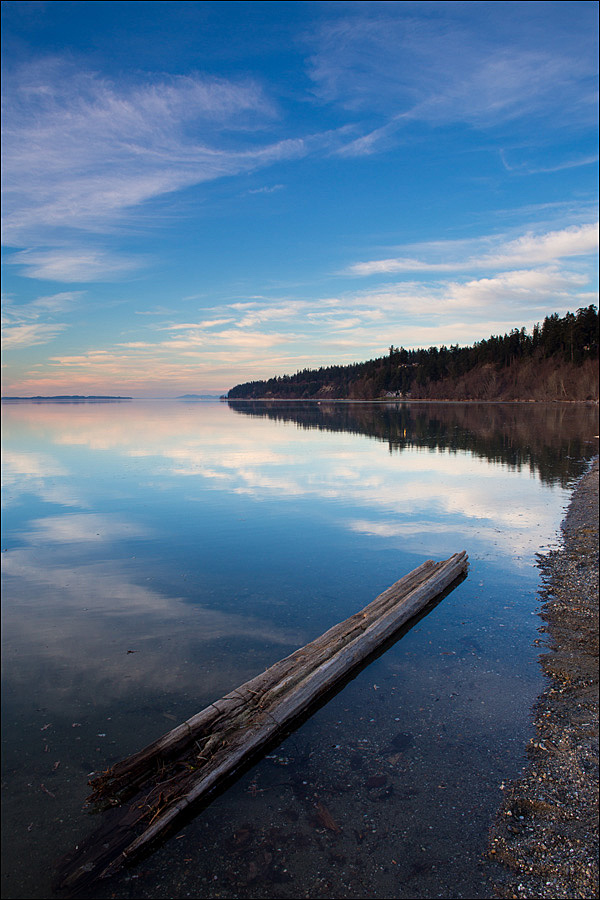 VP portraits PhotoBLOG › Kayak Point County Park